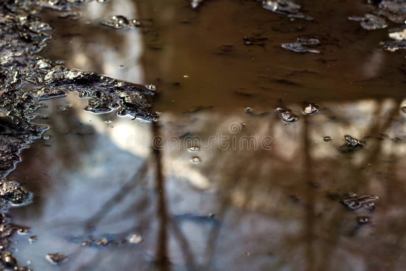 Reflection in a puddle stock photo. Image of river, reflection - 115536164