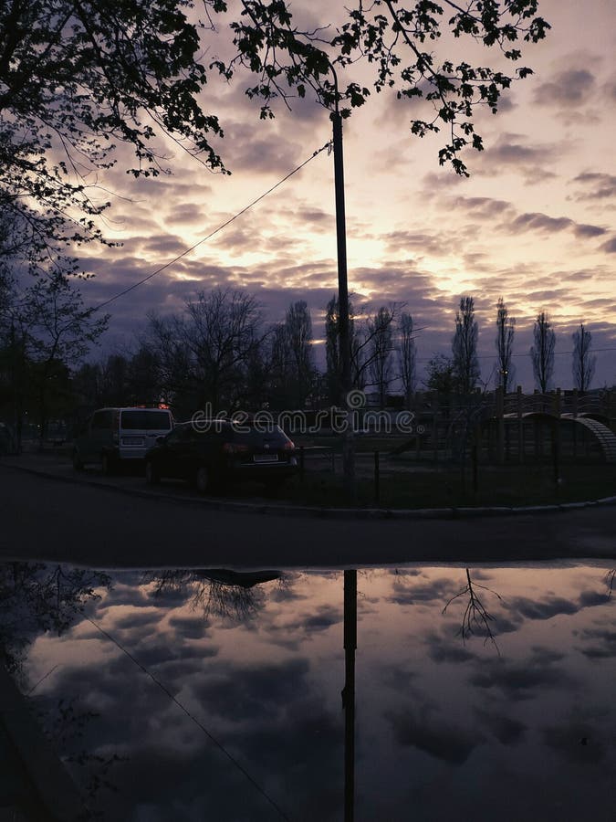 Reflection, Puddle Reflection, Sunset Sky, Gold and Pink Sky, Sky and ...
