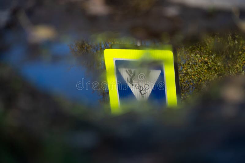 Reflection in a Puddle. the Road Sign is Reflected in the Water Stock ...