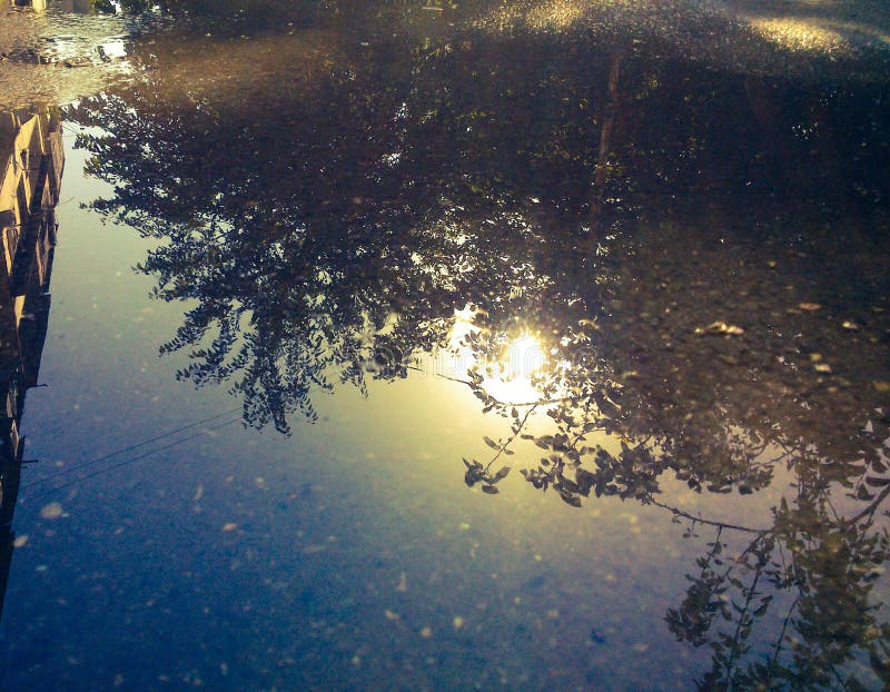 Reflection of the Sun in a Puddle after the Rain Stock Image - Image of reflection, sunshine ...