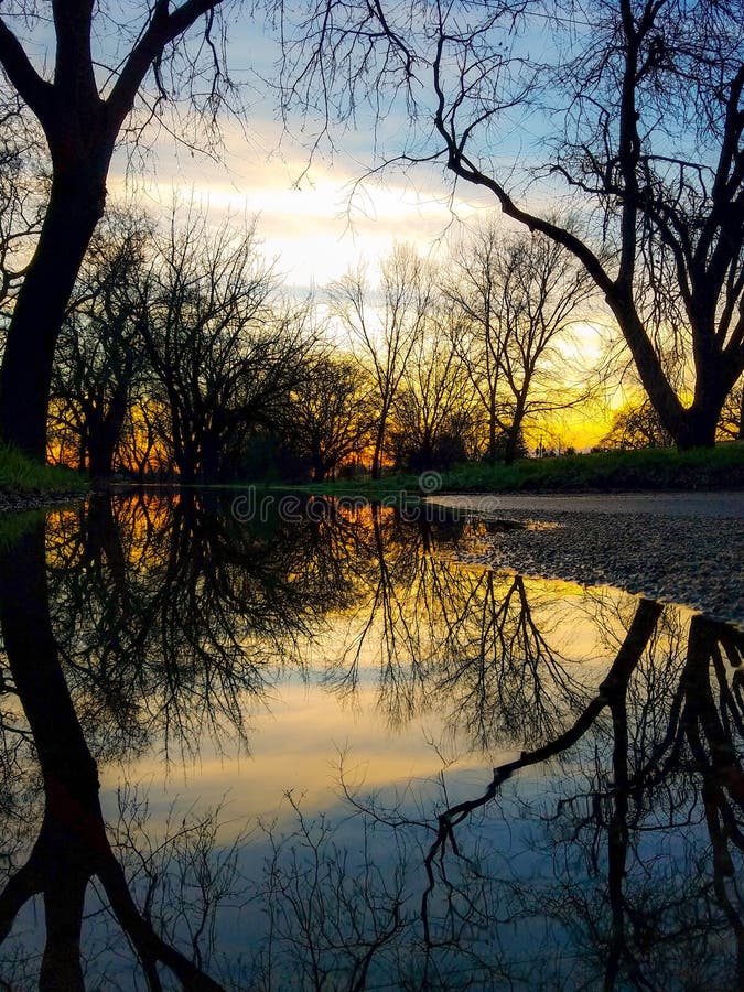 Reflection stock image. Image of puddle, sunset, tree - 103570317