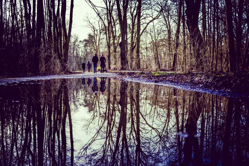 Reflection in the Puddle of Water Stock Image - Image of human, person ...