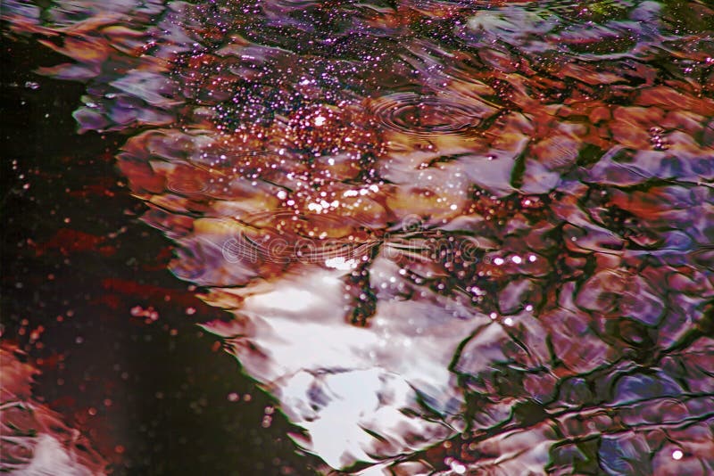 The reflection in red stock image. Image of river, nature - 85399739