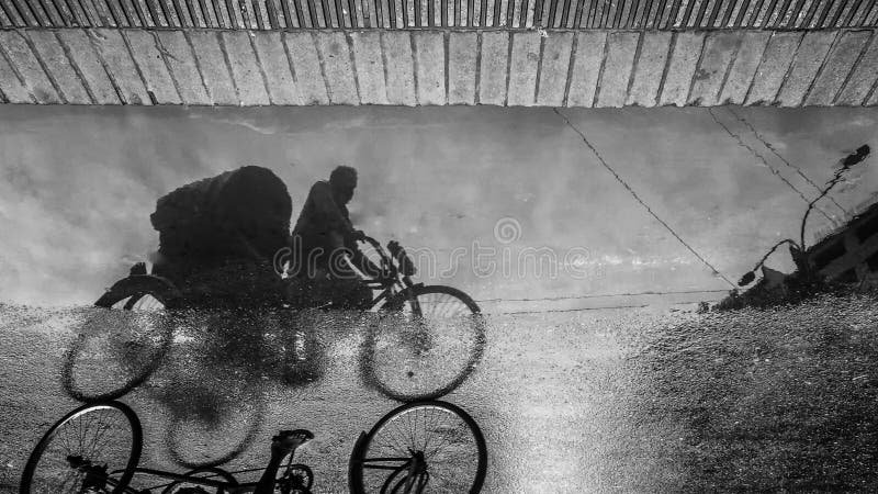 Tattered Polo Shirt Stock Photos - Free & Royalty-Free Stock Photos ...