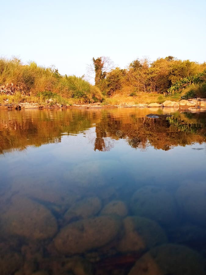 Reflection in a River stock image. Image of leaves, river - 41760939