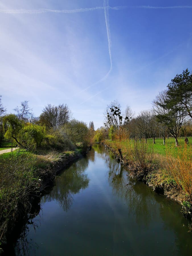 Reflection at the river stock photo. Image of green - 218864126