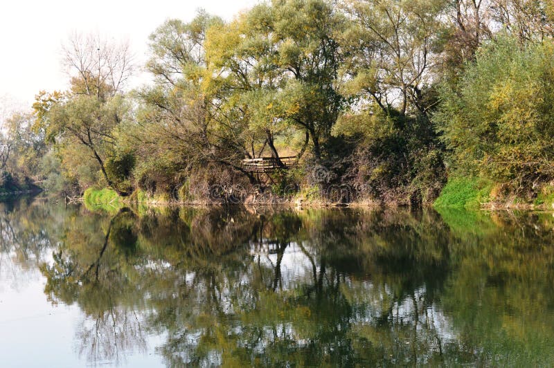 Reflection in the river stock photo. Image of branches - 129672134