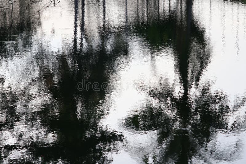 Reflection River and Shadow Tree in Water Beautiful Nature Stock Photo ...