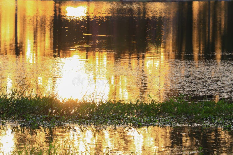 Reflection River and Shadow Tree in Water Beautiful Sunset Nat Stock ...