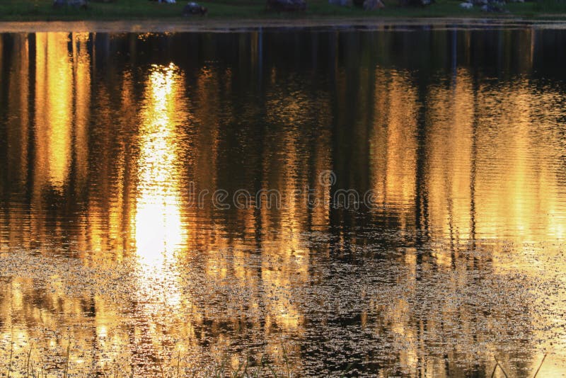 Reflection River and Shadow Tree in Water Beautiful Sunset Nat Stock ...