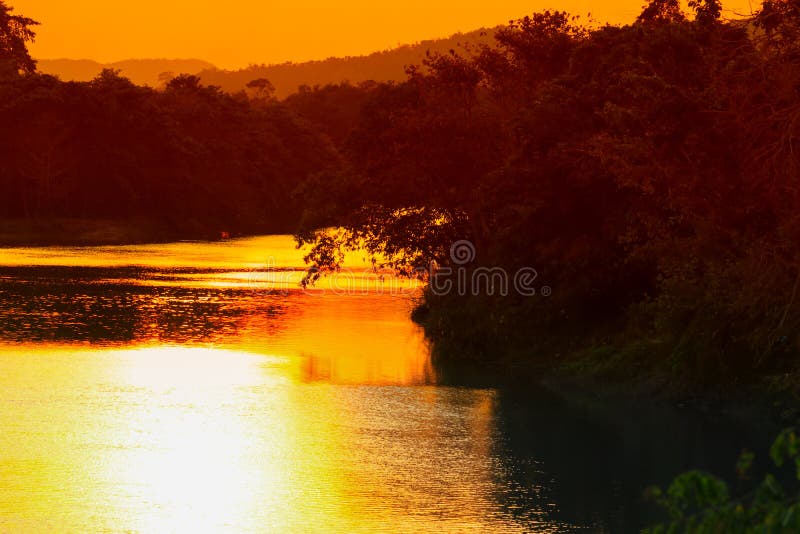 Reflection River and Shadow Tree in Water Beautiful Sunset Nature Stock ...