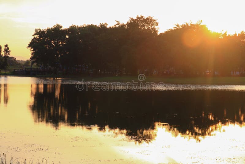 Reflection River and Shadow Tree in Water Beautiful Sunset Nature Stock ...