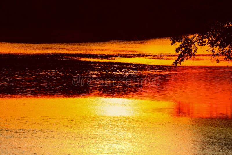 Reflection River and Shadow Tree in Water Beautiful Sunset Nature Stock ...