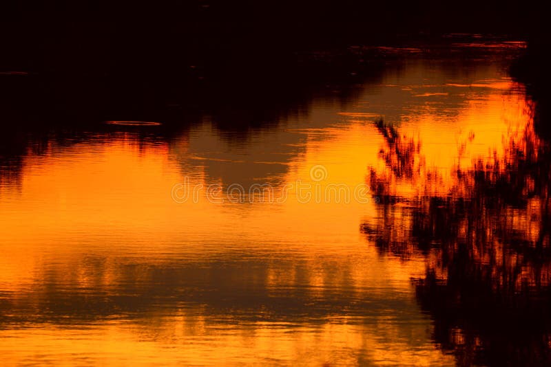 Reflection River and Shadow Tree in Water Beautiful Sunset Nature Stock ...