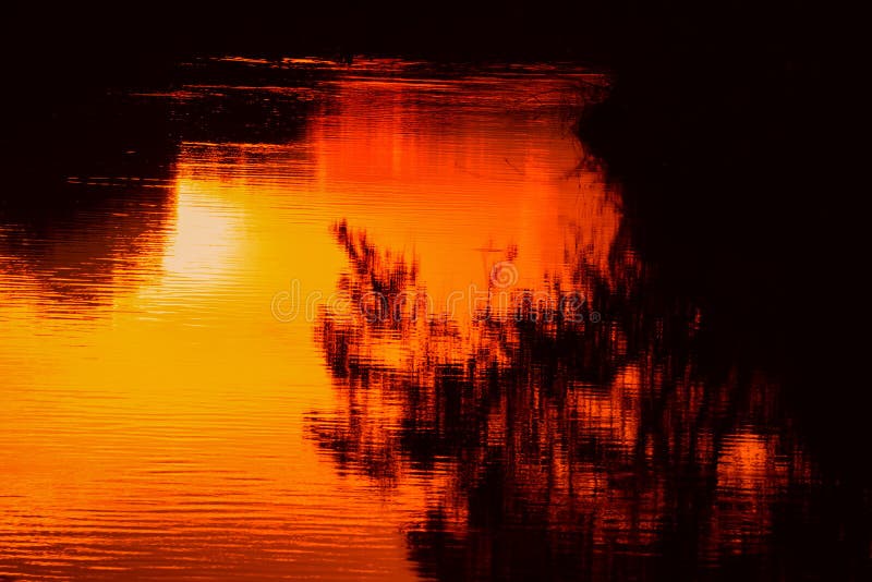 Reflection River and Shadow Tree in Water Beautiful Sunset Nature Stock ...