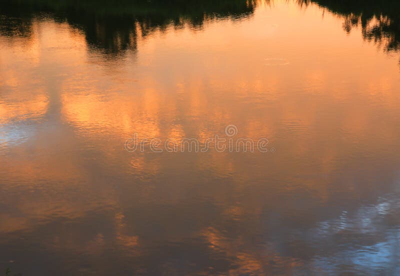 Reflection River and Shadow Tree in Water Beautiful Sunset Nature Stock ...