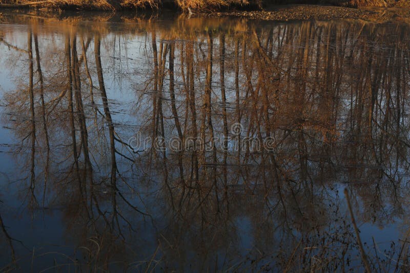 The Reflection in the River, Sky, Trees Stock Image - Image of autumn ...