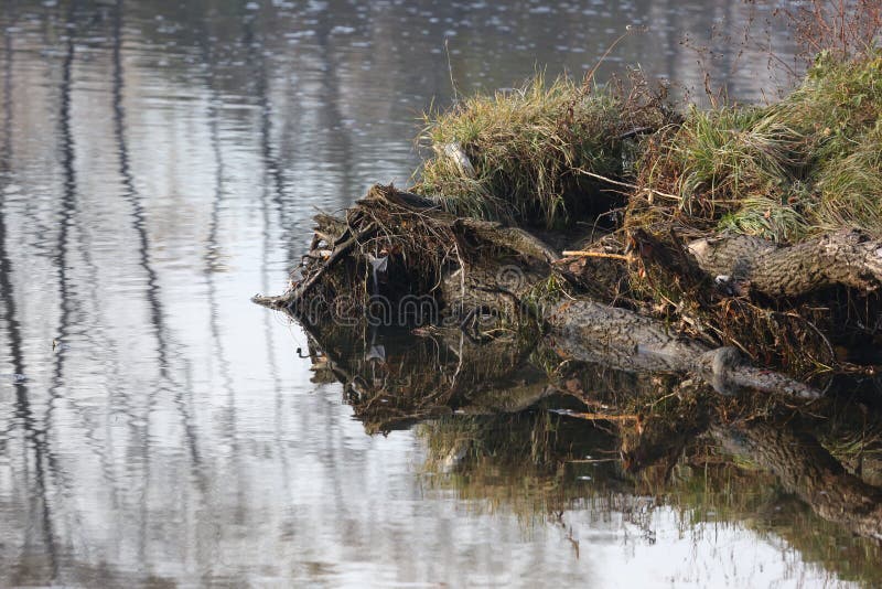 The Reflection in the River, Sky, Trees Stock Image - Image of ...