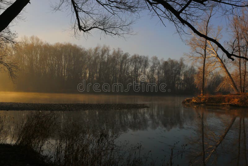 The Reflection in the River, Sky, Trees Stock Image - Image of forest ...