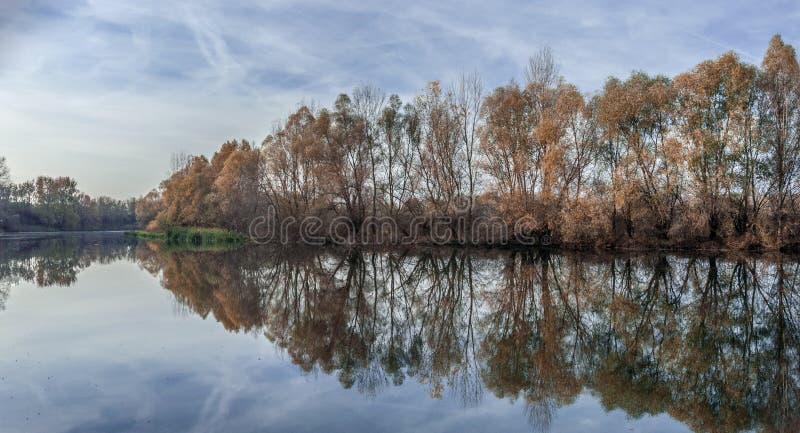 Reflection on the River with Trees Stock Photo - Image of reflection ...