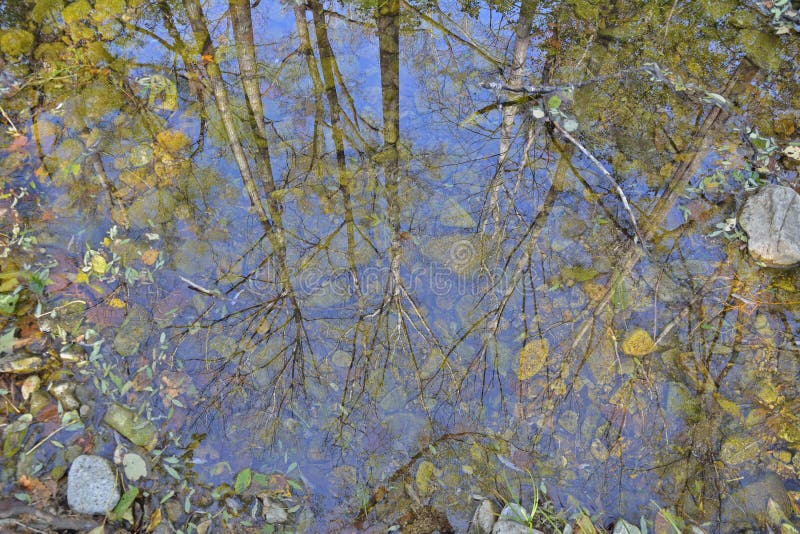 Reflection on river 5 stock photo. Image of colorful - 50036448