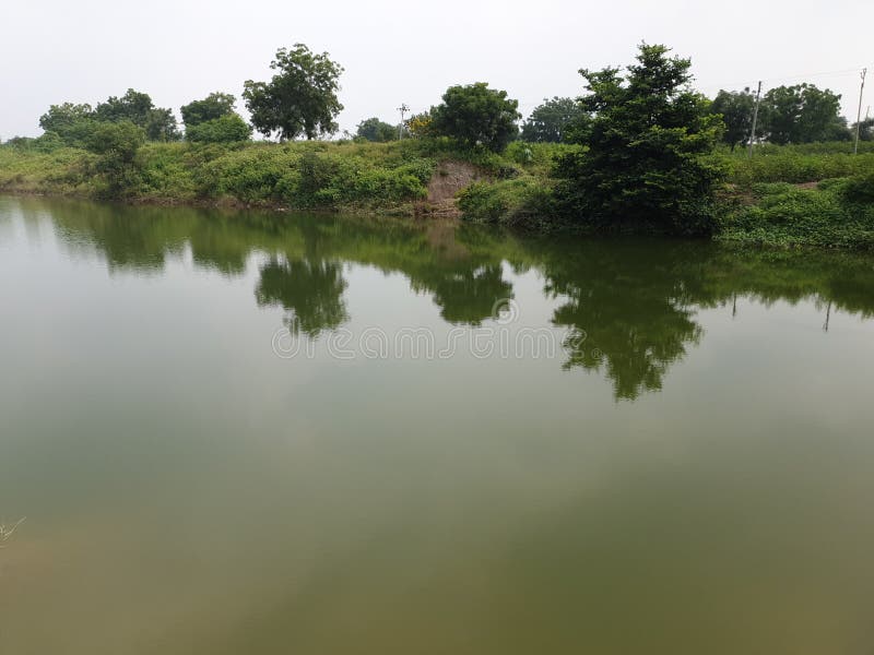 Reflection in river water stock image. Image of waterway - 199124973