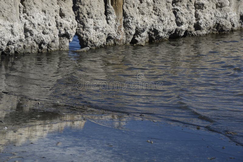 Salton Sea Debris Reflection Stock Photo - Image of salton, wall: 49111180