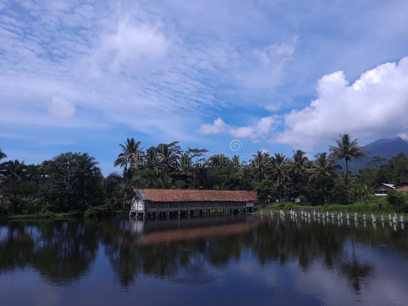 Reflection of the Scenery from a Rural Fish Pond Stock Photo - Image of ...
