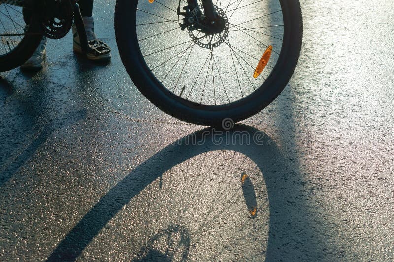 The Reflection and Shadow of a Bicycle Wheel, Bike on Wet Roads Stock ...