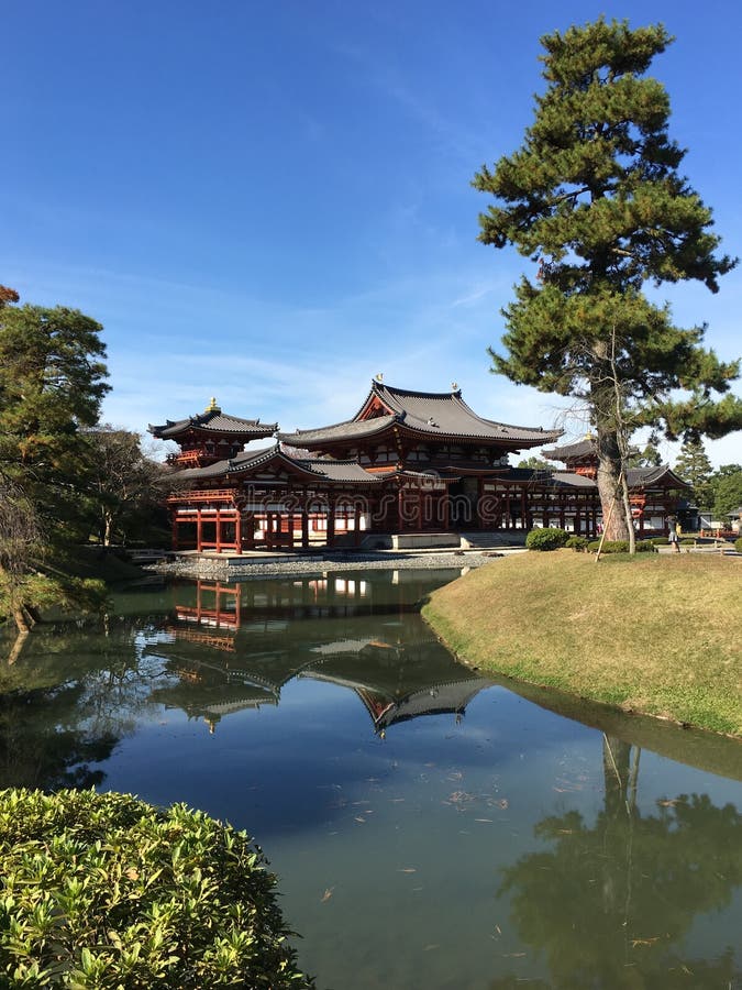 Reflection shadow rock stock image. Image of grass, fish - 77238797