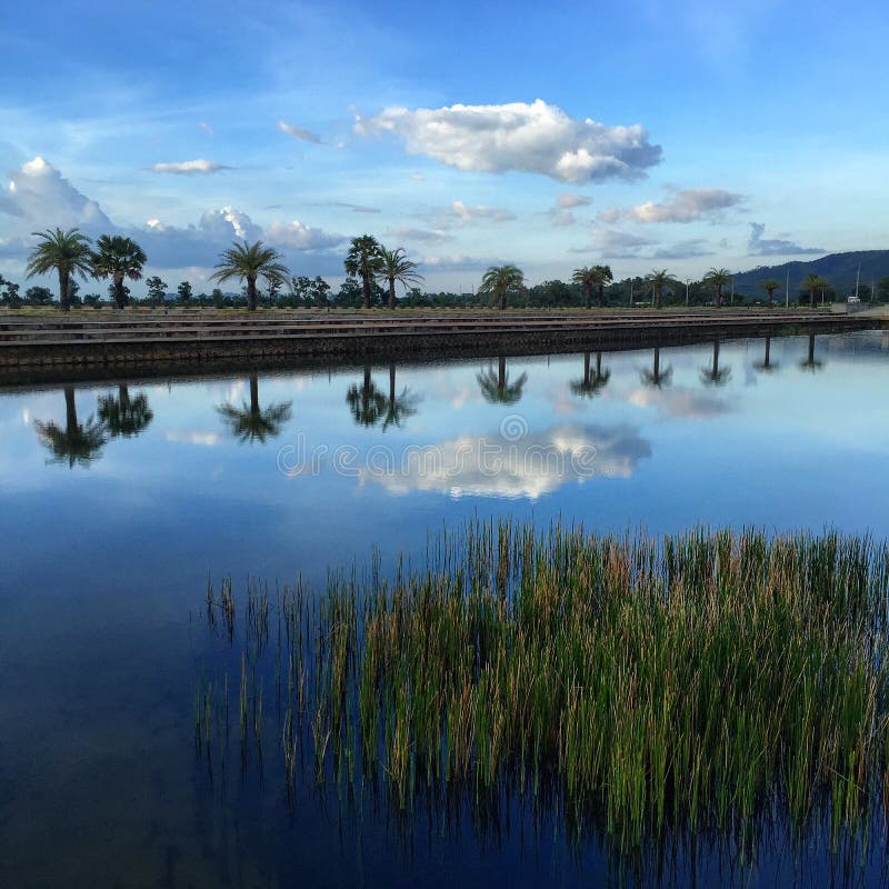 The Reflection Shot in the Evening Stock Photo - Image of water, tree ...