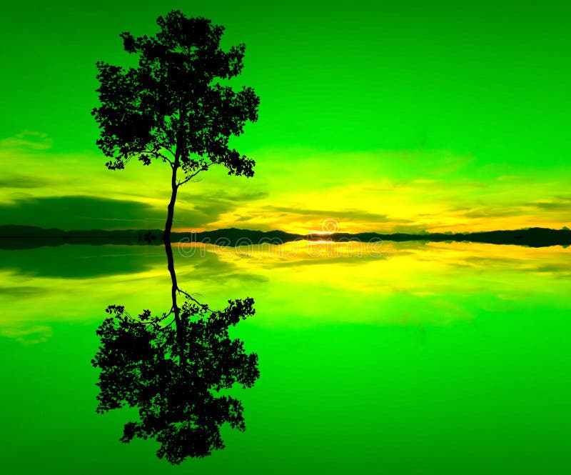 Reflection and Silhouette of a Single Tree Stock Photo - Image of ...
