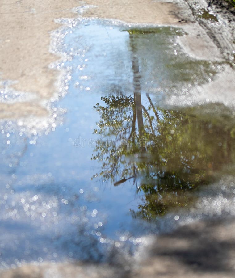 Reflection of the Sky and Tree in Puddles of Water Stock Image - Image ...
