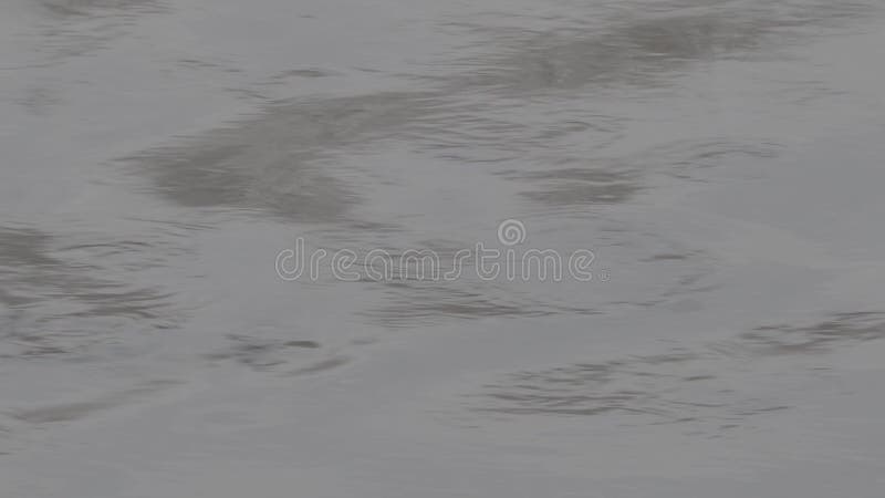 Reflection of the Sky and Trees in the River. Flat Image Profile SLOG 3 ...