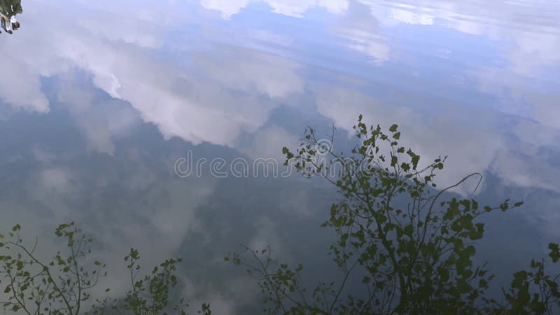 Inverted Reflection in Water Stock Video - Video of scattered, flow ...