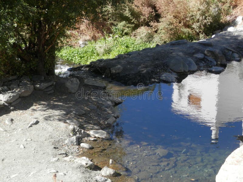 Reflection in small pond stock image. Image of still - 80382197