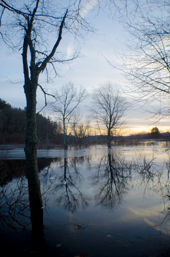 Reflections on the lake stock photo. Image of sunset - 112048188
