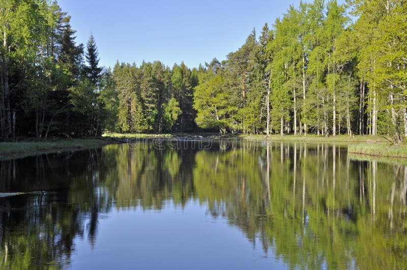 Reflection on still lake stock photo. Image of mirror - 19568214