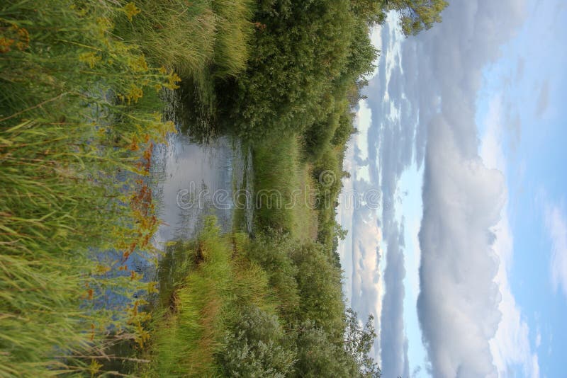 Reflection in stream stock photo. Image of goldenrod, water - 218028