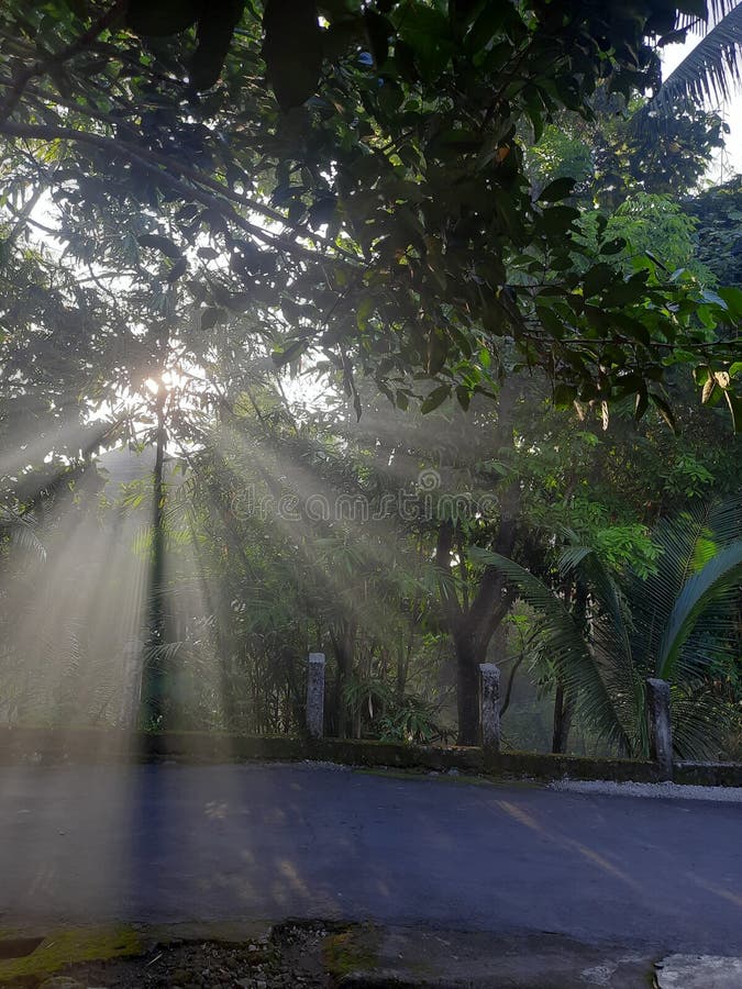 Reflection of the Sun in the Morning Glass at Central Java Stock Photo ...