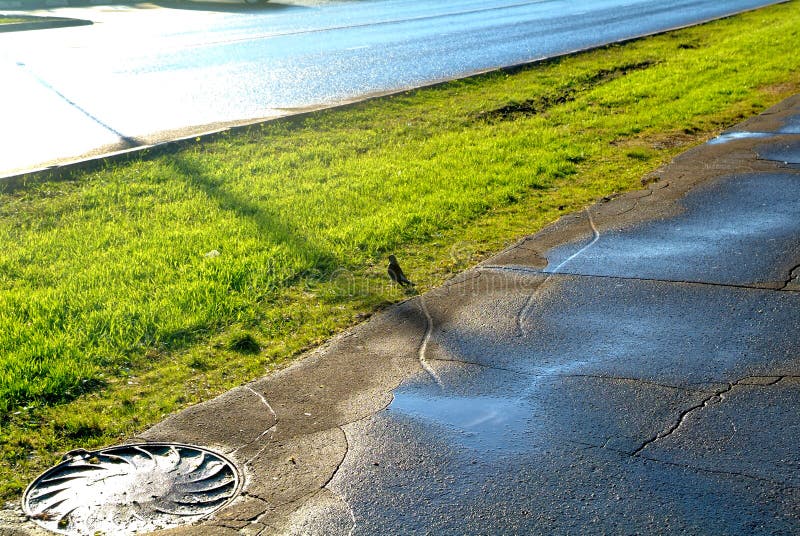 The Reflection of Sun Shine in a Puddle Stock Photo - Image of ground ...