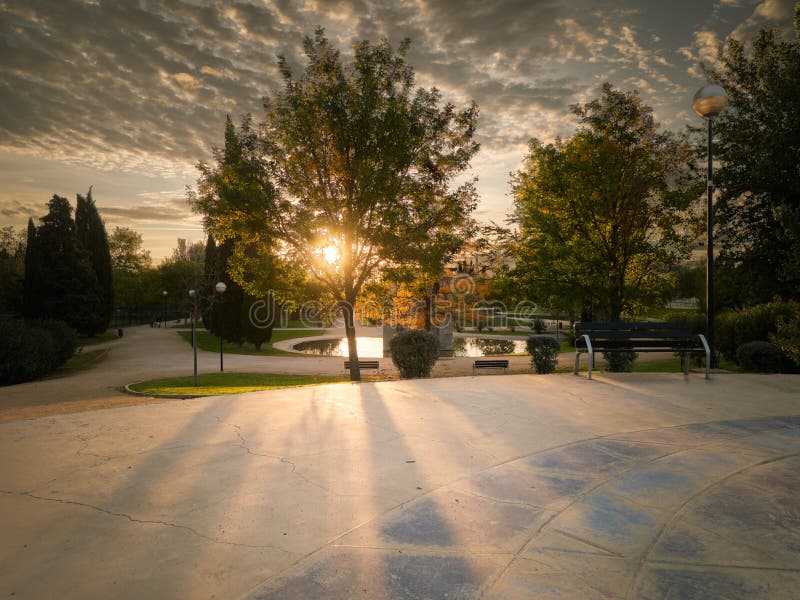 Reflection Sun Sunset Park Tree Reflection Sun Stock Image - Image of ...