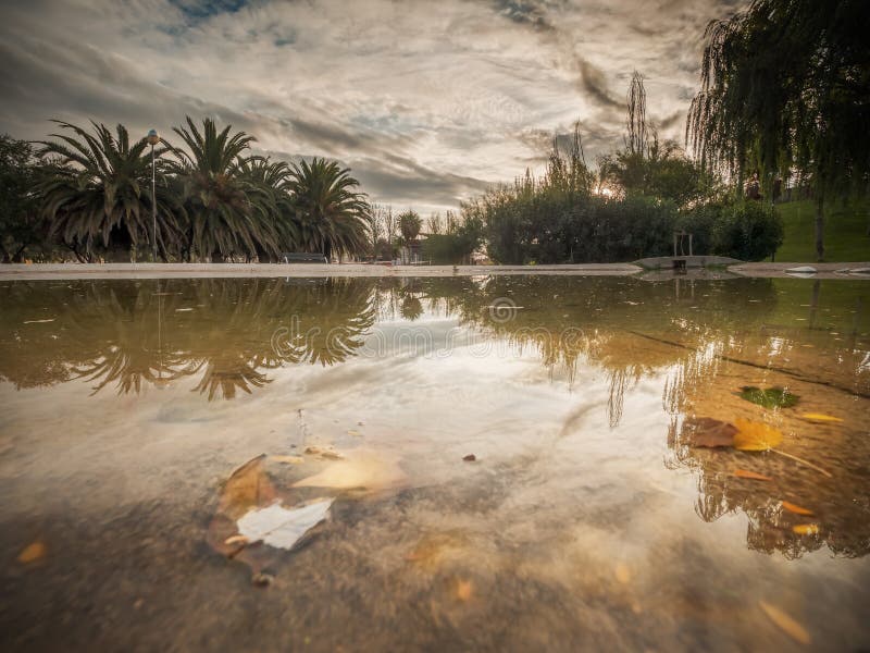 Reflection Sun Sunset Park Tree Reflection Sun Stock Image - Image of ...