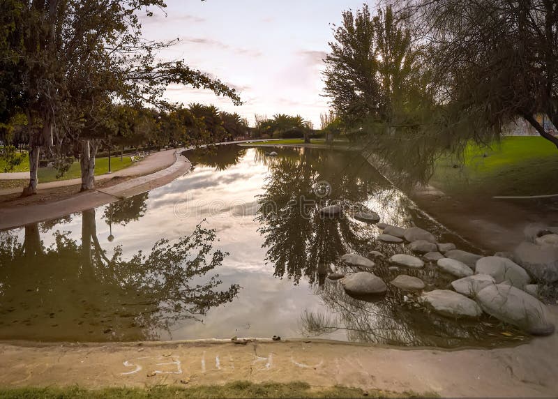 Reflection Sun Sunset Park Tree Reflection Sun Stock Photo - Image of ...