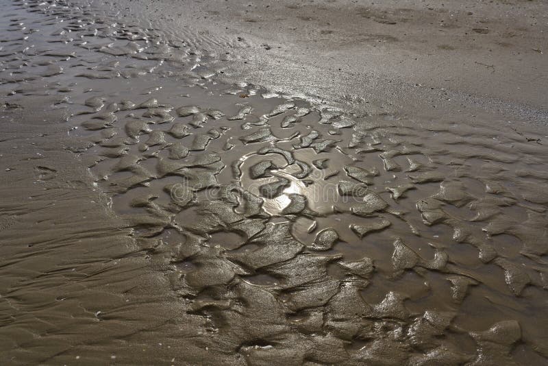 Reflection of the Sun in the Wet Sand Stock Photo - Image of sand ...