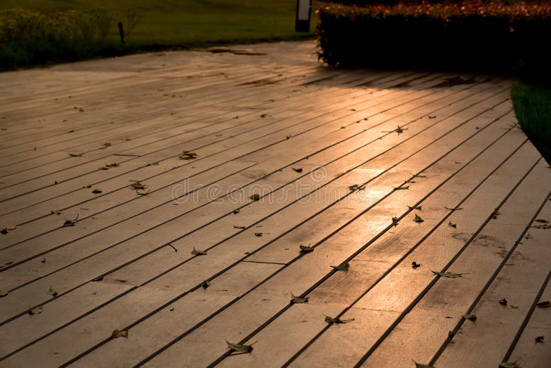 Reflection of Sunlight on the Pavement. Stock Photo - Image of backyard ...