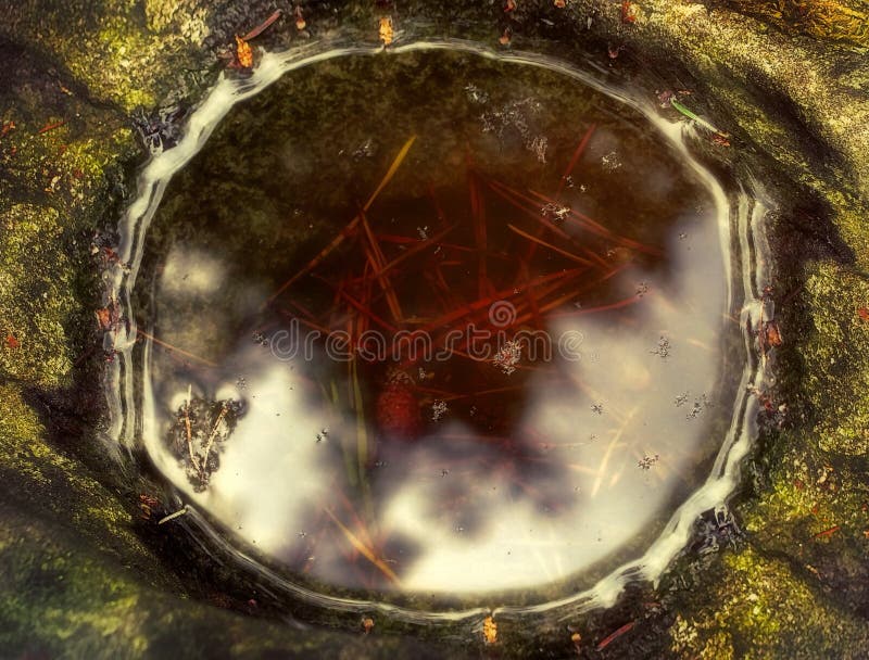 Reflection of Sunlight in a Puddle of Water Stock Image - Image of ...