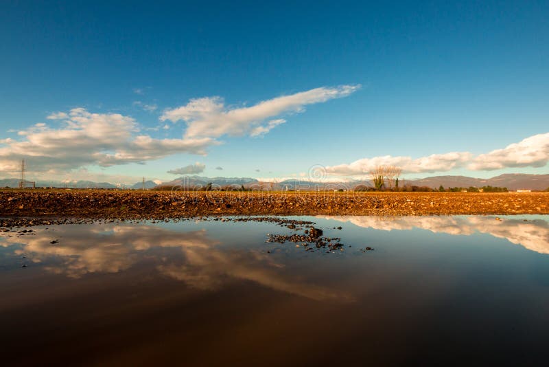 Reflection of Sunny Afternoon in the Puddle Stock Photo - Image of ...