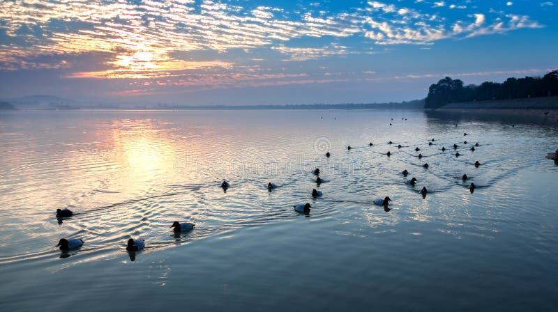 Sunset at Distant Edge of Lake Stock Photo - Image of deep, aquatic ...