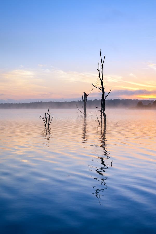 Reflection of Sunrise at Lake Samsonvale Stock Image - Image of ...